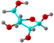 Exploring Macromolecules of the Body